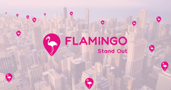 Flamingo